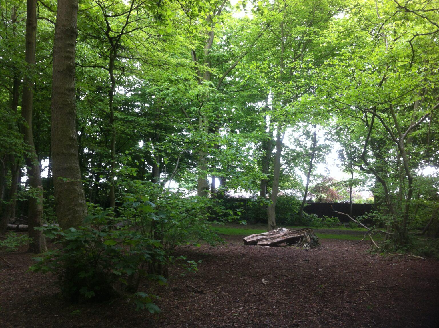 Acomb - North Yorkshire | I'm From Yorkshire
